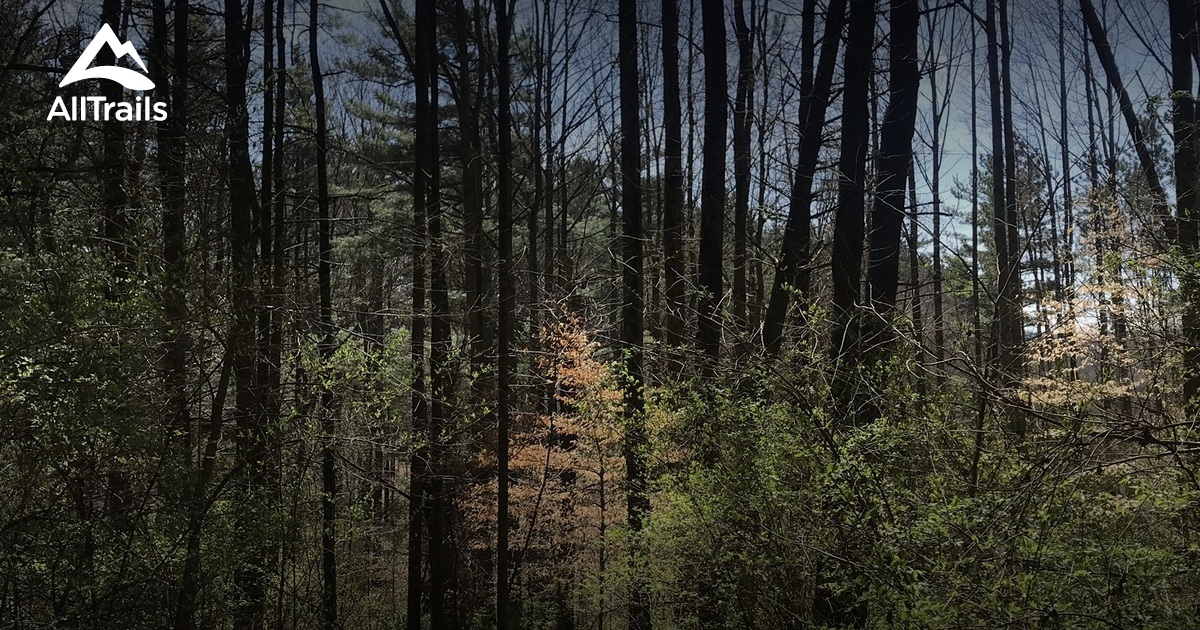 Best bird watching trails in Norma Johnson Center | AllTrails