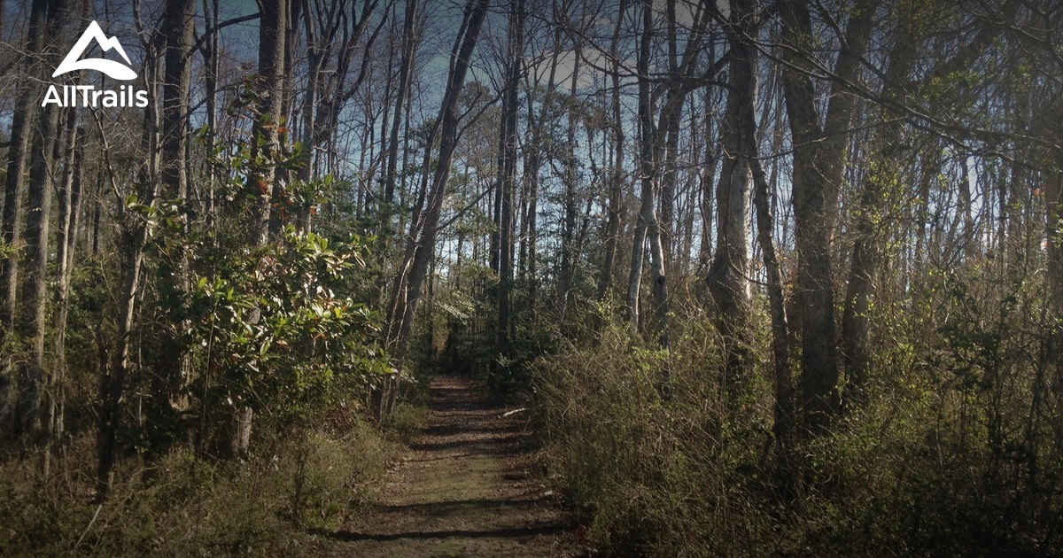 Best hikes and trails in Zoar State Forest | AllTrails