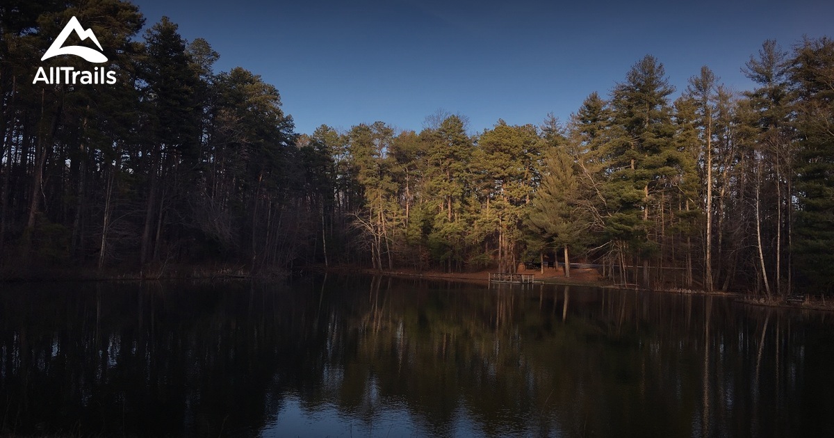 Best hikes and trails in Martin State Forest--Indiana | AllTrails