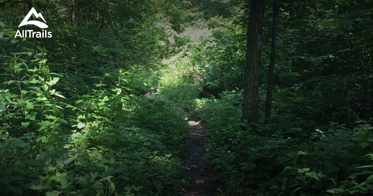 Best forest trails in Trail of Tears State Forest | AllTrails
