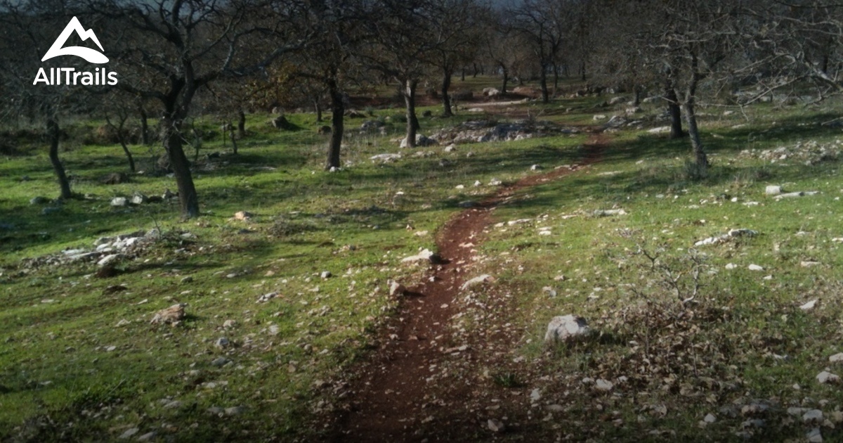 10 Best hikes and trails in Kirya Ata Forest | AllTrails