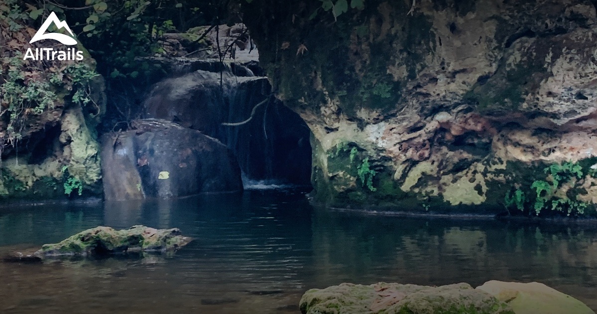 10 Best hikes and trails in Amud Stream Nature Reserve | AllTrails