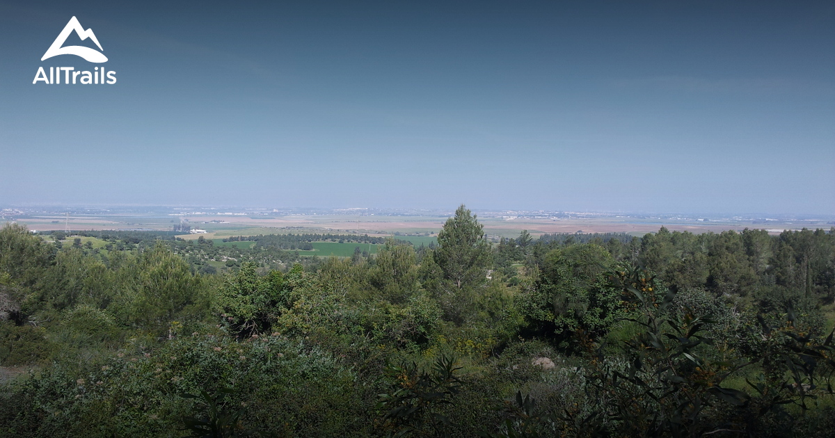 Best easy trails in Haruvit Forest | AllTrails