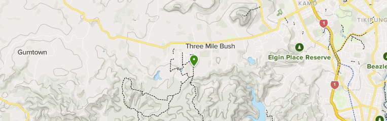 Best Hikes and Trails in Pukenui Conservation Area | AllTrails