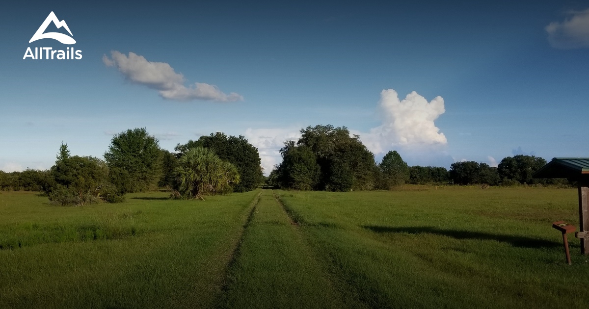 Best hikes and trails in Chito Branch Reserve | AllTrails