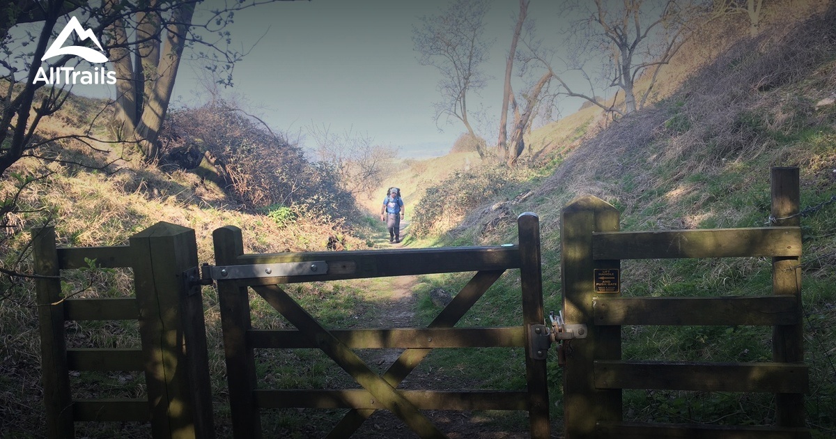 Best hikes and trails in Aston Rowant National Nature Reserve | AllTrails