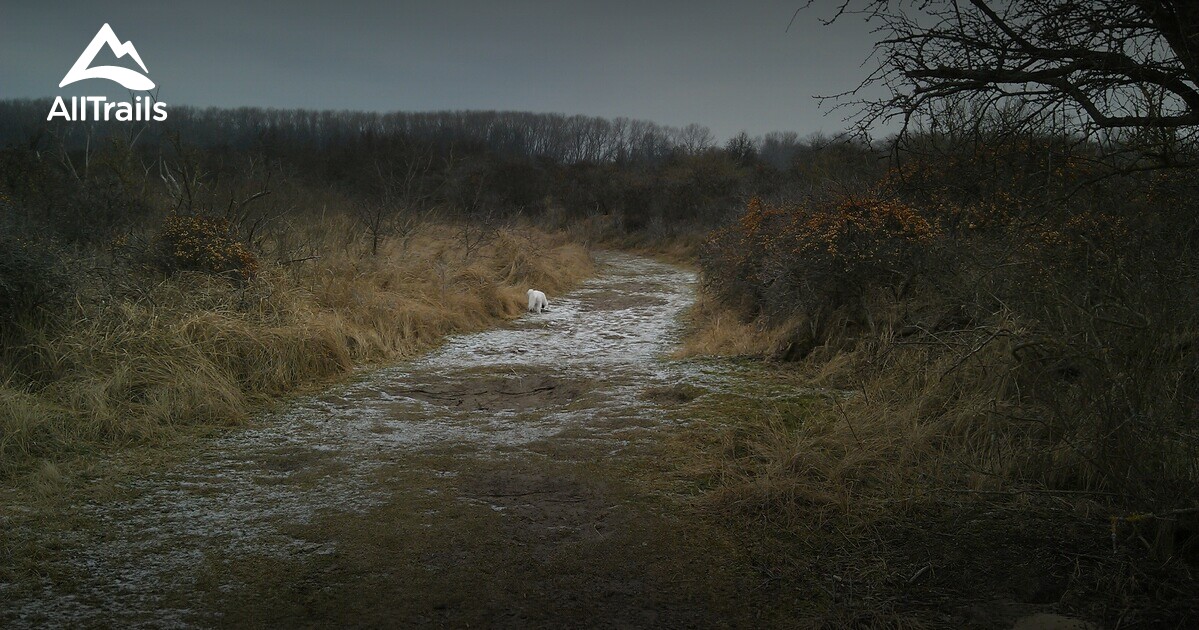 Best moderate trails in Nature Reserve of Westhoek | AllTrails