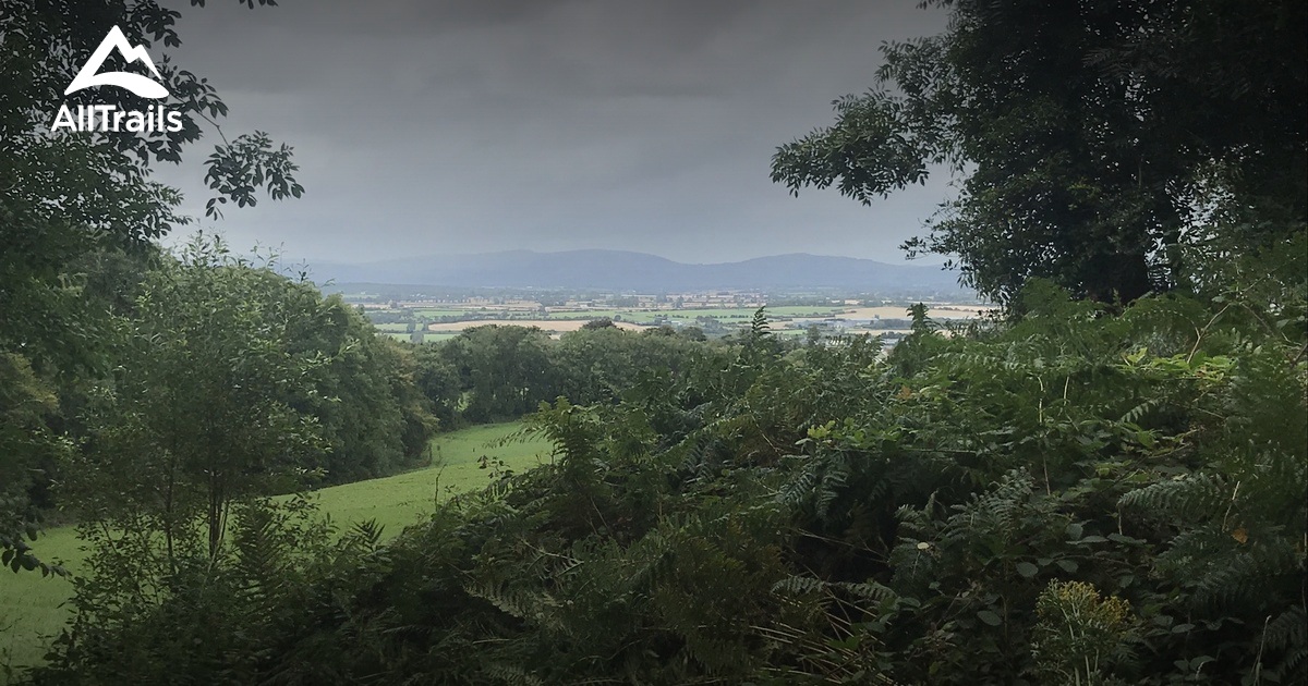 Best hikes and trails in Ballyhooly | AllTrails