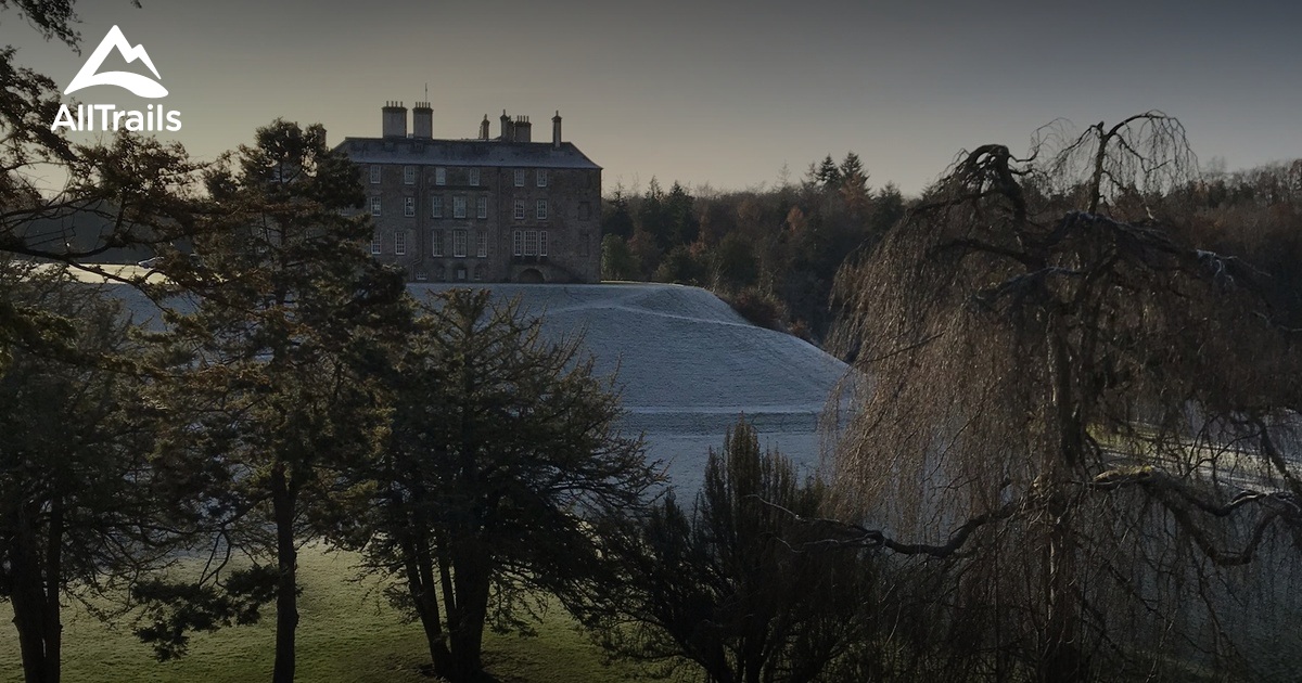 Best forest trails in Dalkeith Country Park | AllTrails