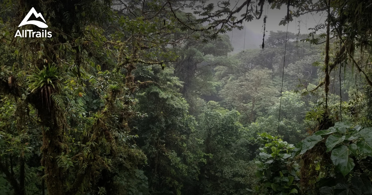 Best hikes and trails in Selvatura Park | AllTrails