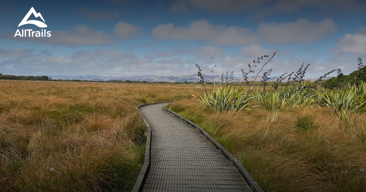 Best hikes and trails in Travis Wetland Nature Heritage Park | AllTrails