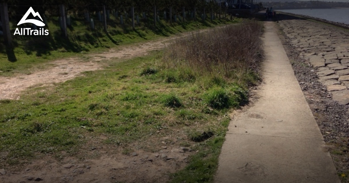 Best hikes and trails in Lighthouse Park | AllTrails