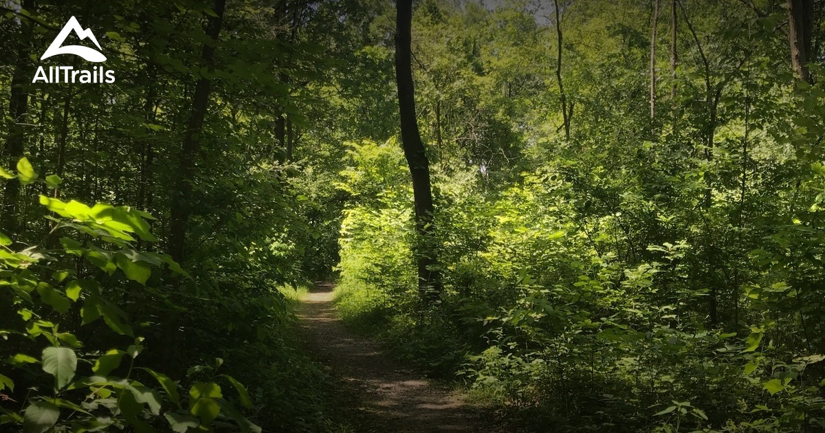 Best hikes and trails in Devonwood Conservation Area | AllTrails