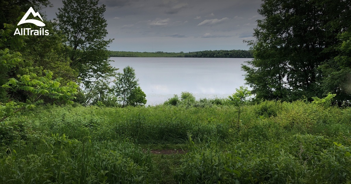 Best Trails in Beaver Lake Nature Center - New York | AllTrails