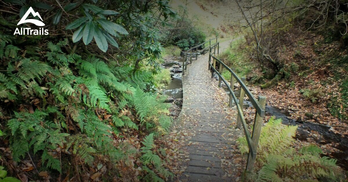 Best hikes and trails in Corbar Woods | AllTrails