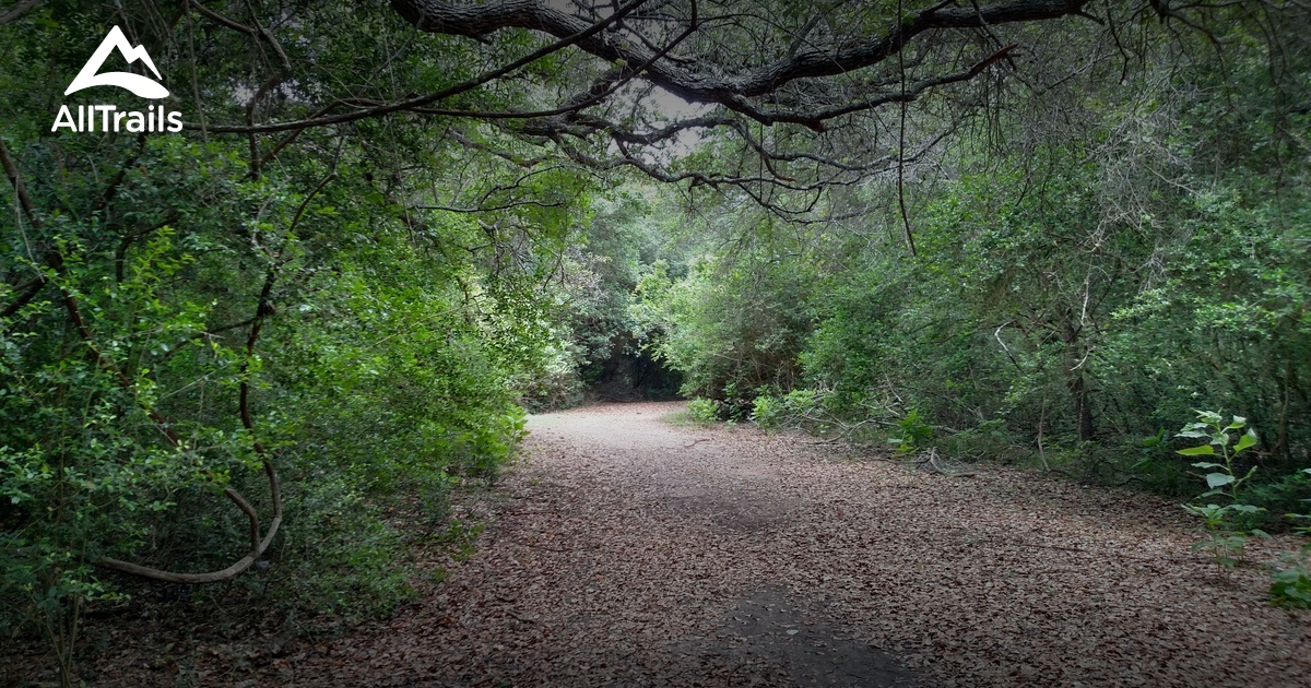 Best hikes and trails in Brackenridge Recreation Complex | AllTrails