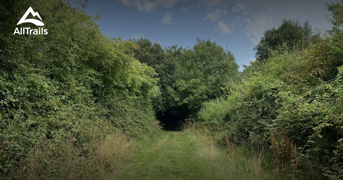 Best trails in Foxley Wood, Norfolk, England | AllTrails