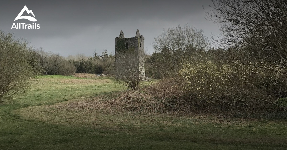 Best hikes and trails in Merlin Woods | AllTrails