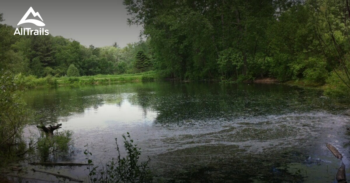 10 Best hikes and trails in Baltimore Woods Nature Center | AllTrails