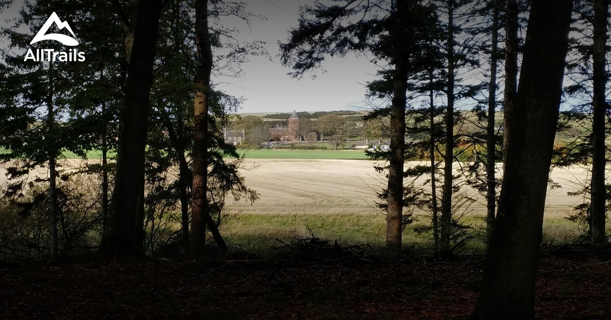 Best hikes and trails in Binning Wood | AllTrails