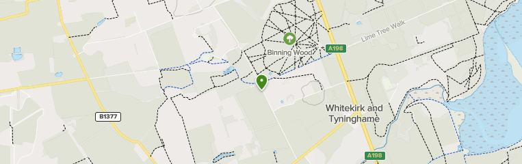 Best Hikes and Trails in Binning Wood | AllTrails