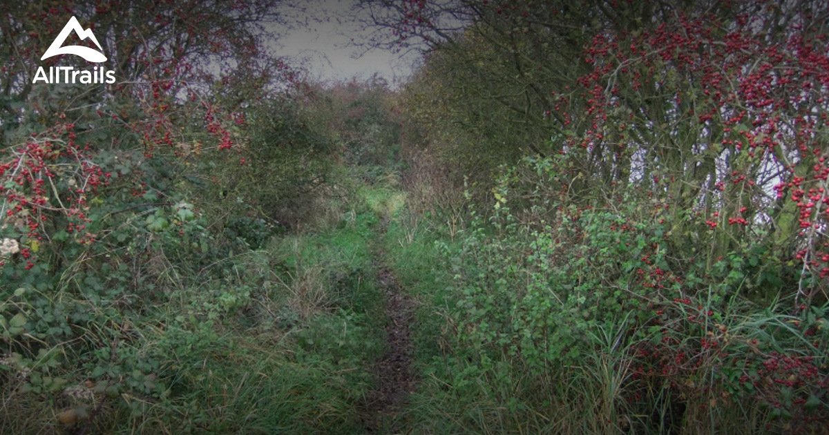 Best hikes and trails in The Wash National Nature Reserve | AllTrails