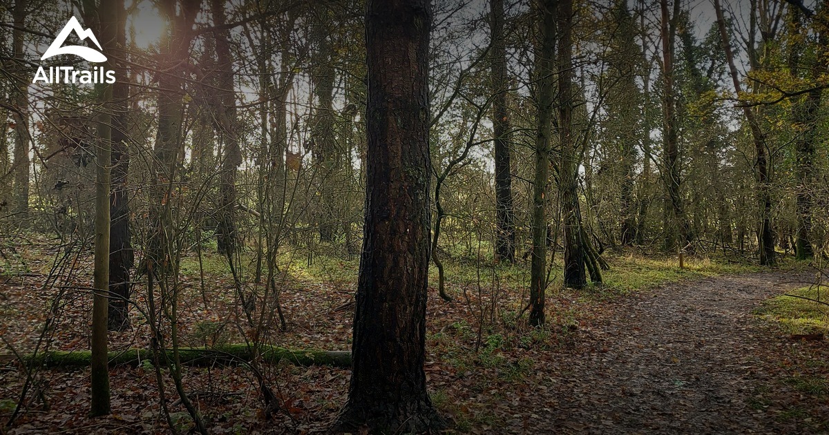 Best hikes and trails in Reffley Wood | AllTrails
