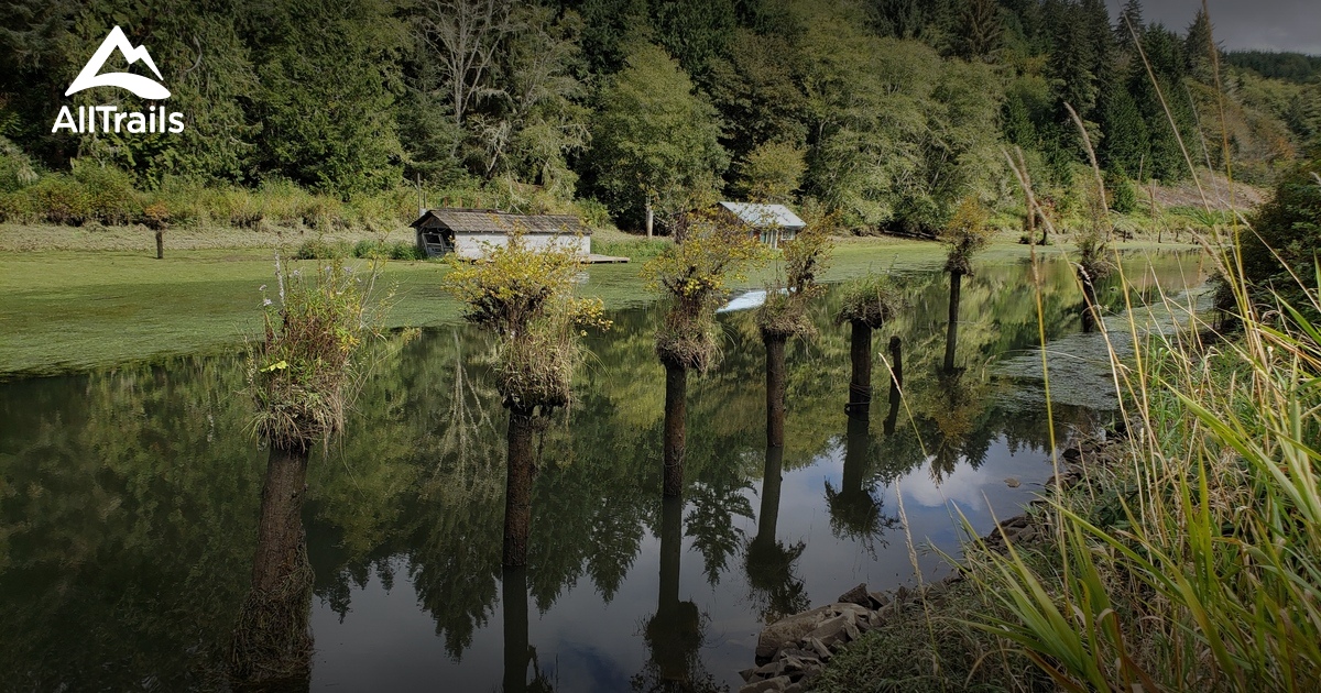 Best hikes and trails in Julia Butler Hansen Refuge for the Columbian ...