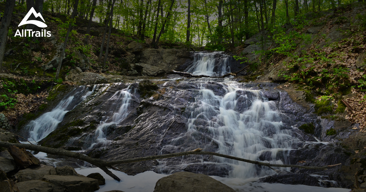 Best river trails in Fore River Sanctuary | AllTrails