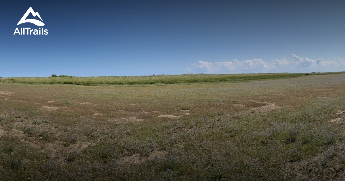 Best bird watching trails in Gibraltar Point National Nature Reserve ...