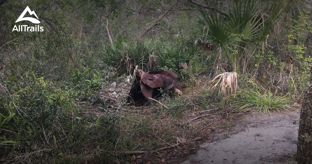 Best Trails in Wickham Park - Florida | AllTrails