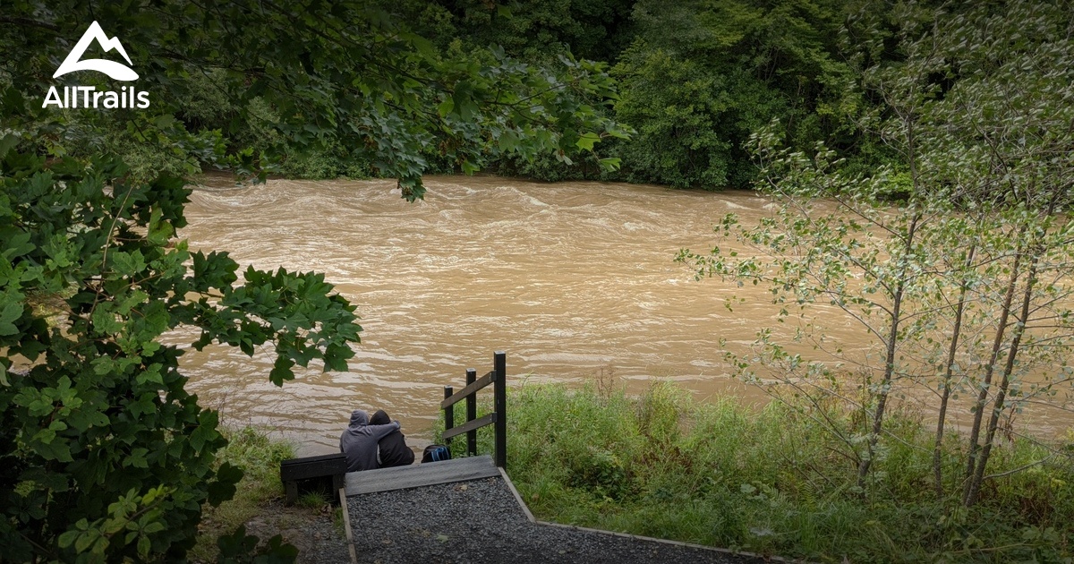 Best hikes and trails in Dolerw Park | AllTrails