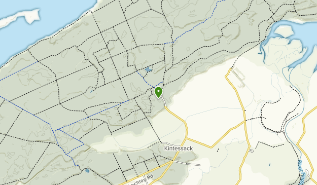 Best Trails in Culbin Forest - Moray, Scotland | AllTrails