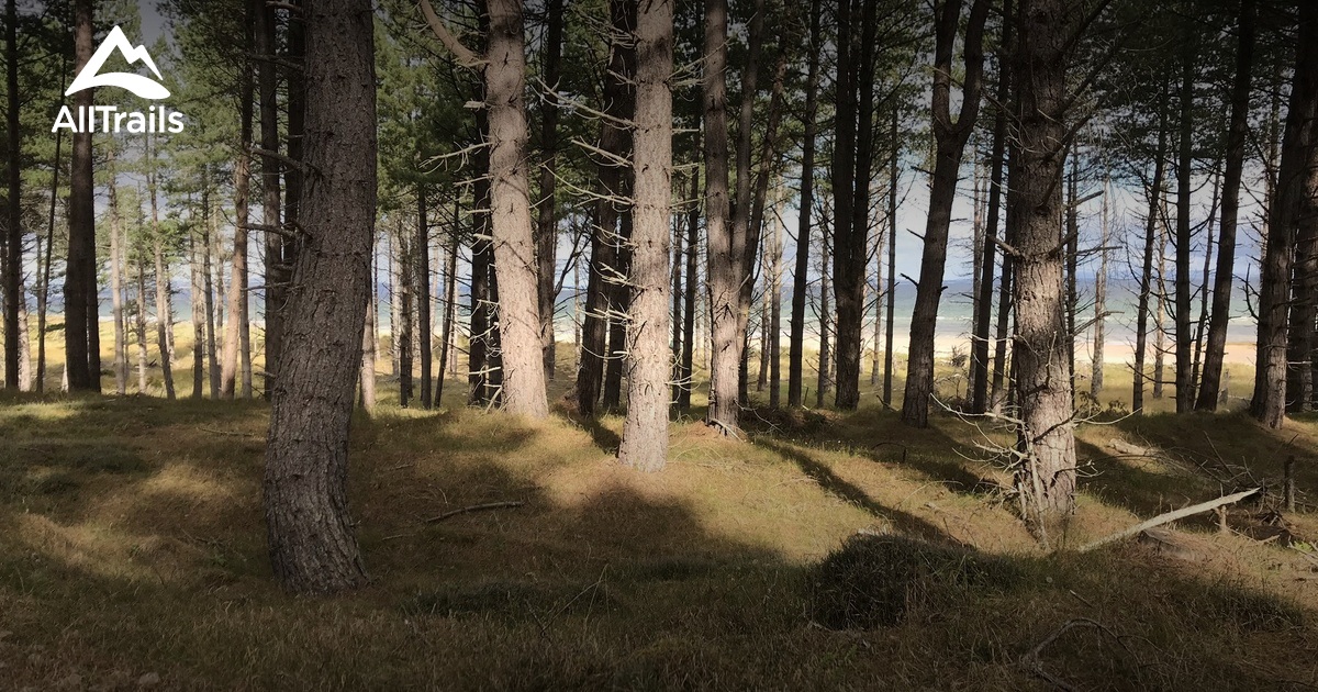 Best hikes and trails in Culbin Forest | AllTrails