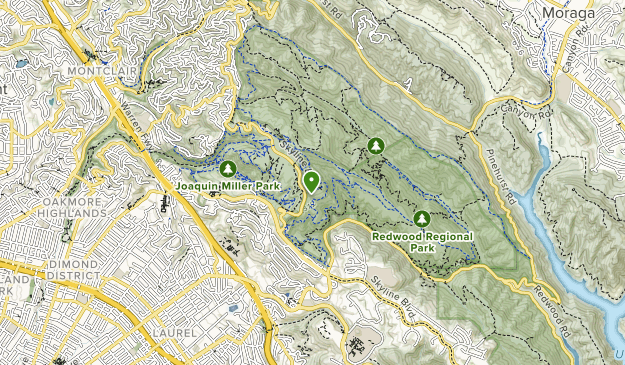 Best Trails in Roberts Regional Recreation Area - California | AllTrails