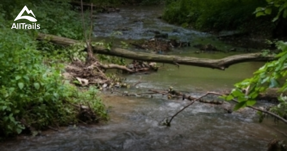 Best forest trails in Rezerwat Dolina Racławki | AllTrails