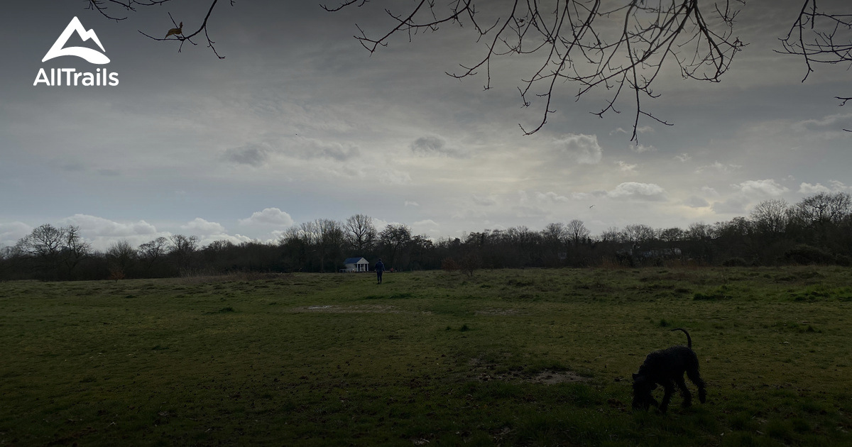 Best forest trails in Wanstead Park | AllTrails