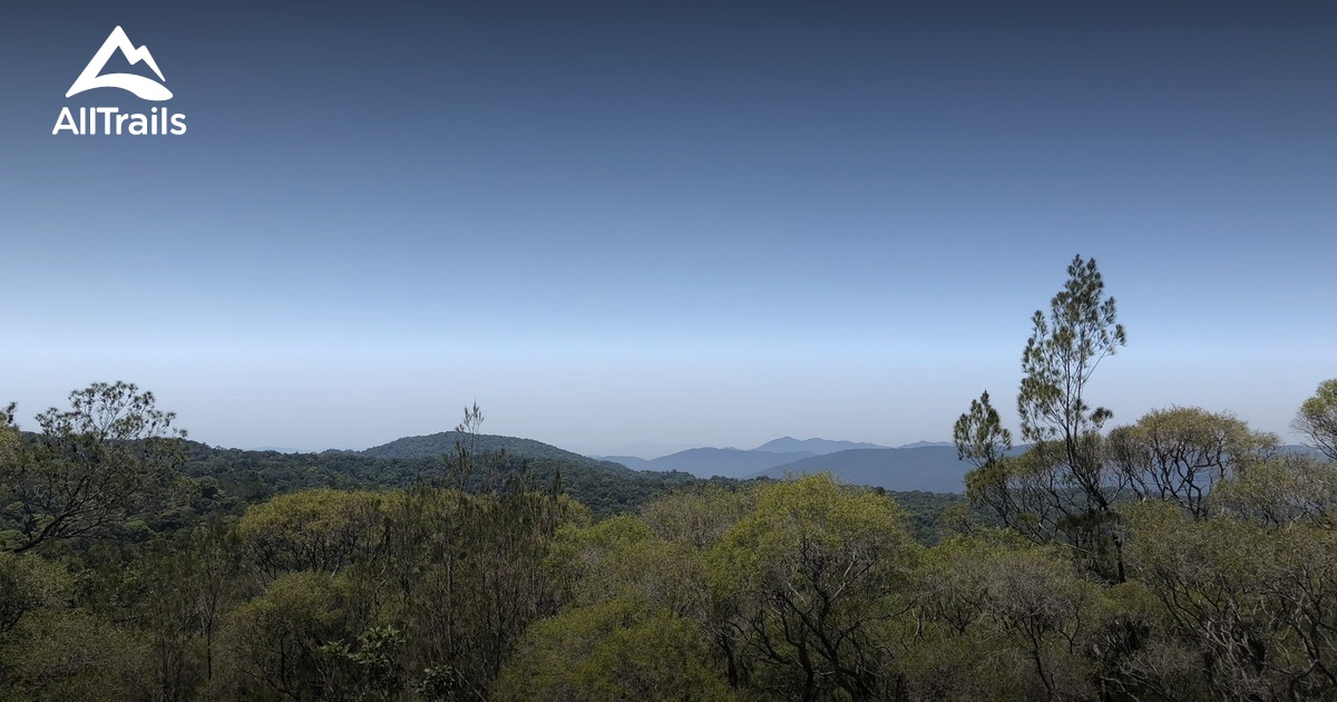 Best Trails in Paluma Range National Park - Queensland, Australia ...