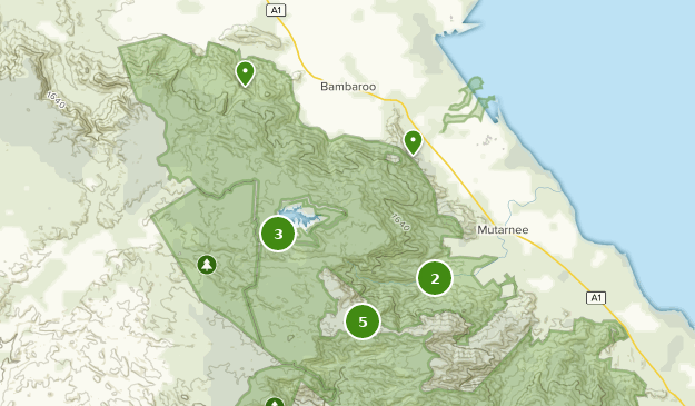 Best Trails in Paluma Range National Park - Queensland, Australia ...