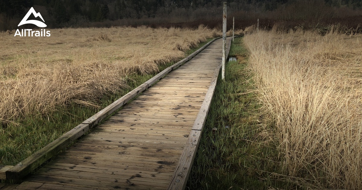 Best hikes and trails in North Creek Park | AllTrails