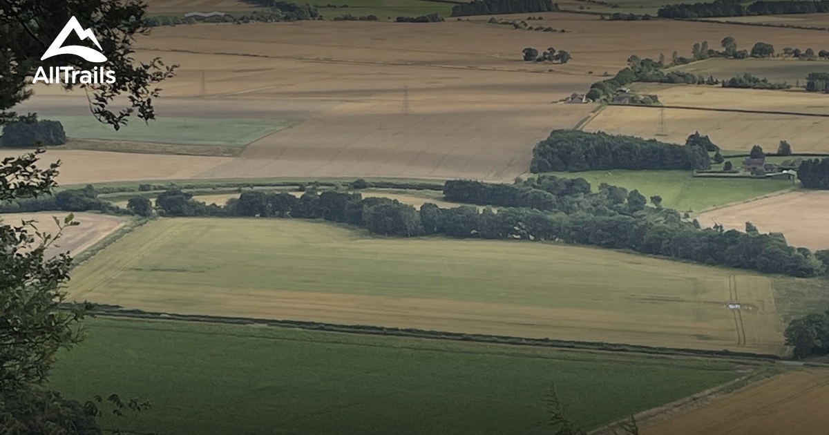 Best hikes and trails in Moncreiffe Hill | AllTrails