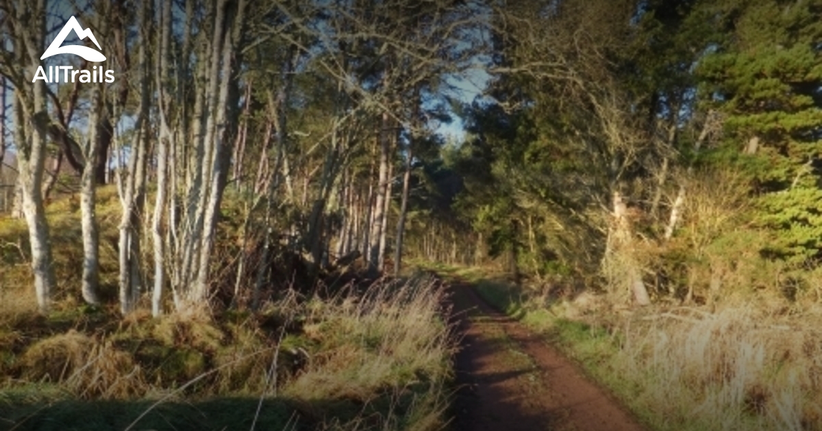 Best Trails in Tentsmuir National Nature Reserve - Fife, Scotland ...