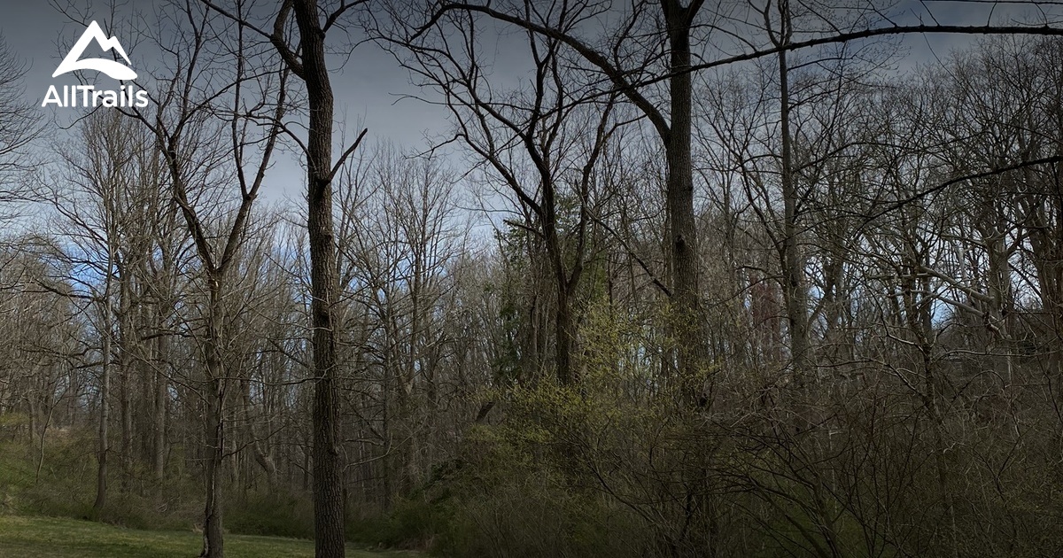 Best hikes and trails in Kenealy Nature Park | AllTrails