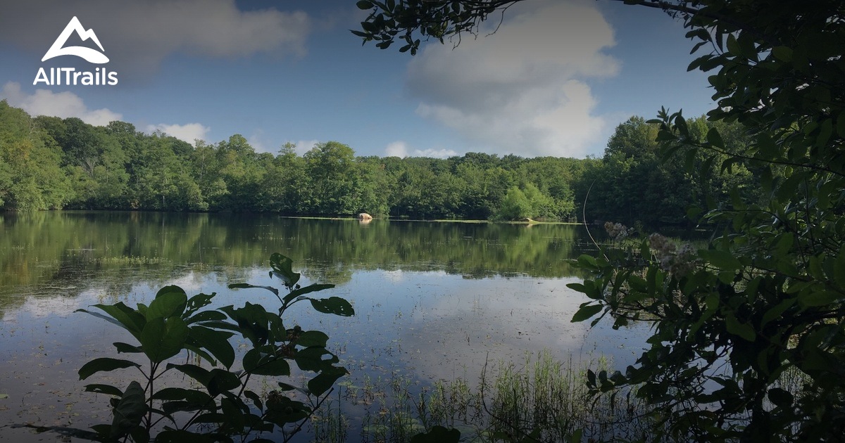 Best hikes and trails in Pine Swamp Wildlife Corridor | AllTrails