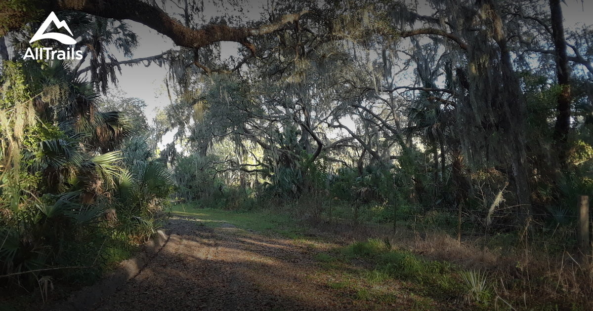 Best hikes and trails in Cockroach Creek Greenway Nature Preserve ...