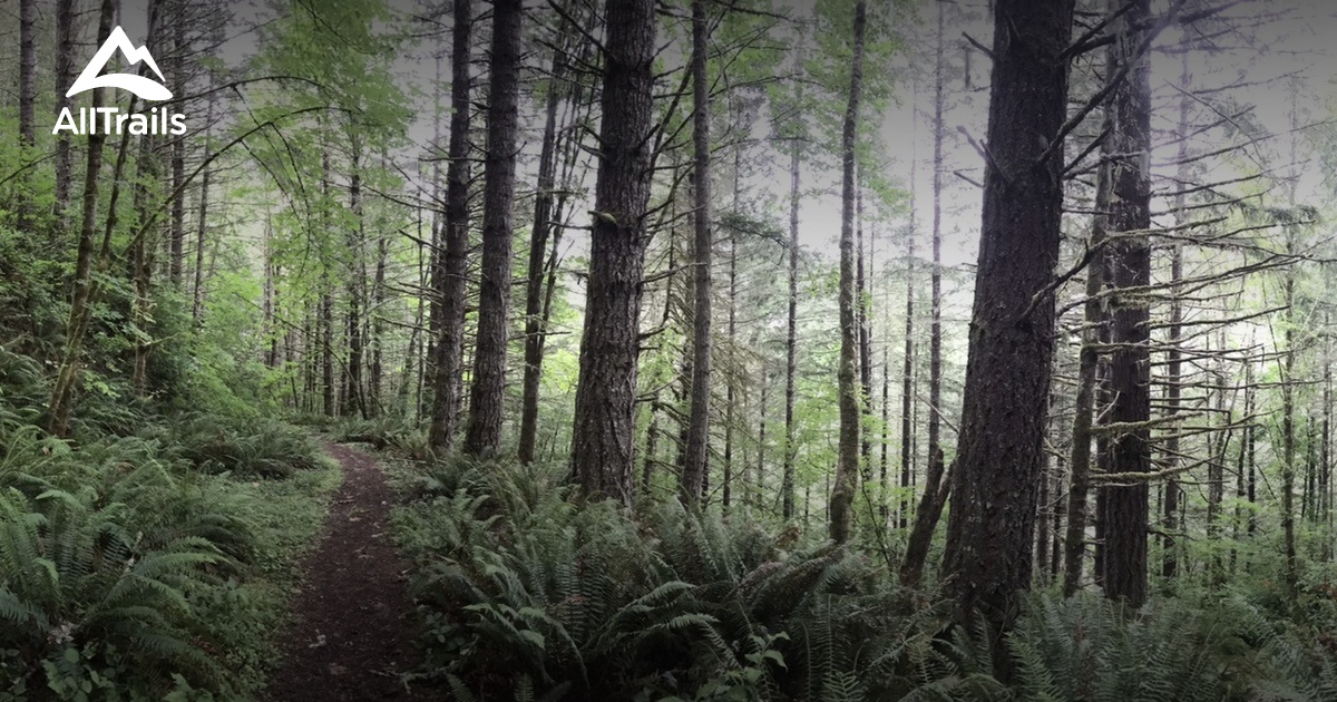 Best Trails in Molalla River Corridor Recreation Area - Oregon | AllTrails