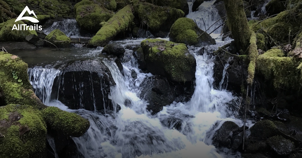 10 Best hikes and trails in Molalla River Corridor Recreation Area ...