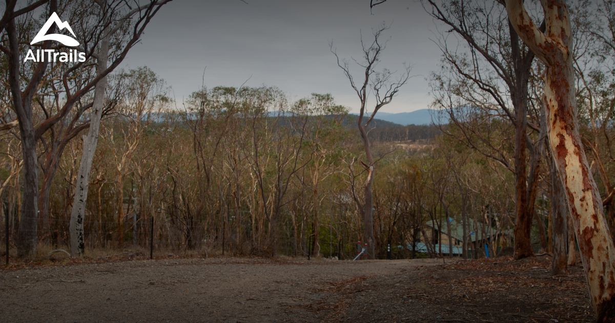 Best easy trails in Aranda Bushland Nature Reserve | AllTrails