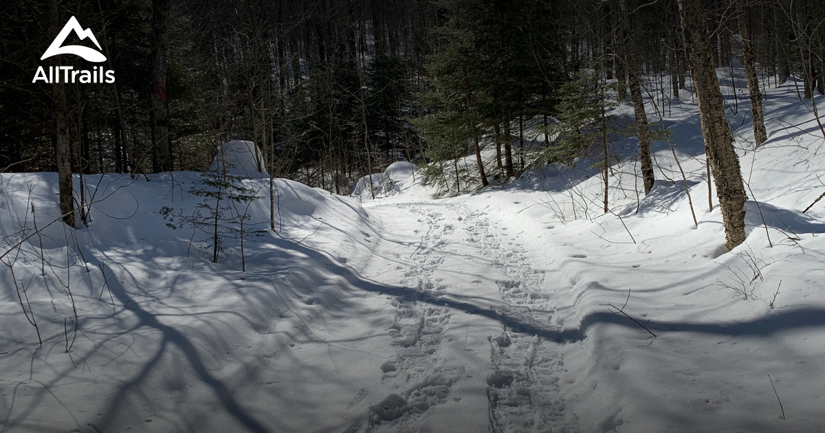 Otter Springs Recreation Area: de beste routes om te wandelen | AllTrails