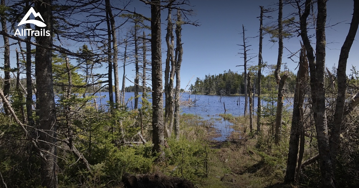 Best hikes and trails in Gabarus Wilderness Area | AllTrails